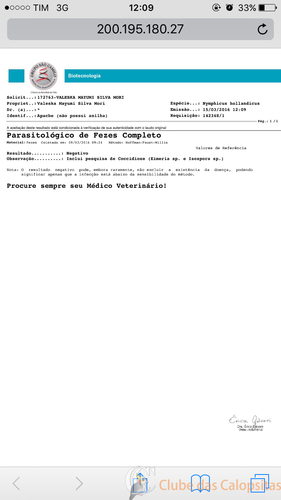 Fezes amarelas e meio moles, o que pode ser? que exames fazer? - Saúde ...